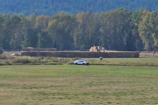 Cull of Edgewood ostriches carried out, 11 months later | Grand Forks ...